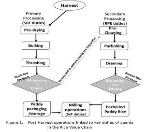 Rice Parboiling Method using False Bottom Technology - Sherdzon EcoSave ...